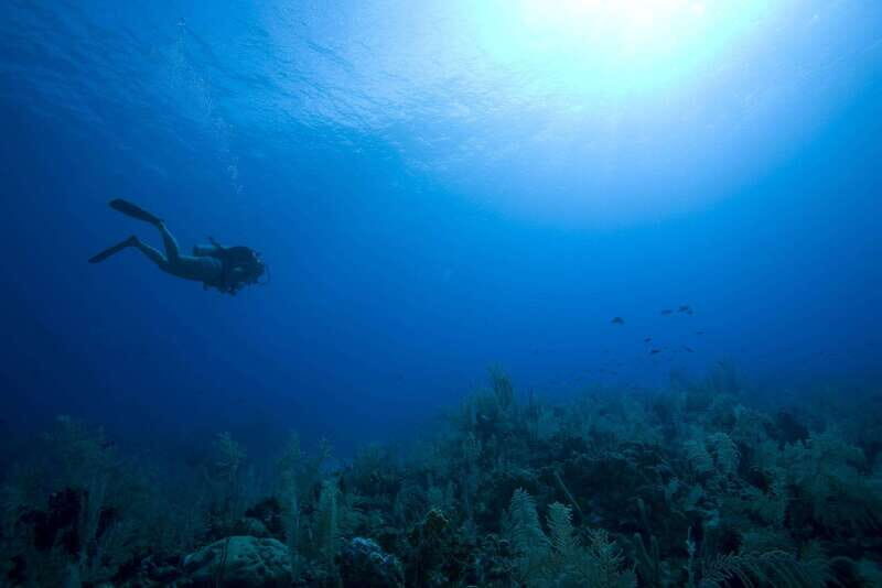 Playa del Carmen: PADI Advance Open Water in Riviera Maya - Why Choose This Course?