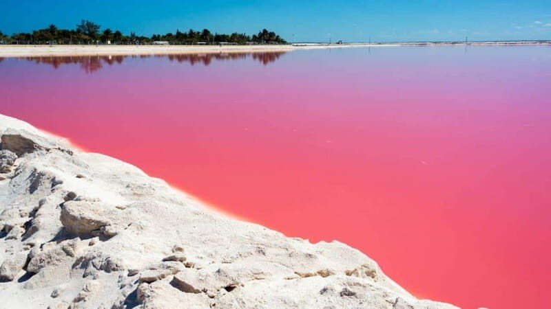 Playa del Carmen: Rio Lagartos and Las Coloradas Tour - Key Points