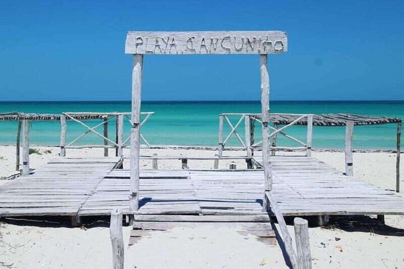 Playa del Carmen: Rio Lagartos and Las Coloradas Tour - An Introduction to the Tour Experience