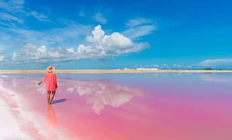 Playa del Carmen: Rio Lagartos and Las Coloradas Tour - The Value of This Tour