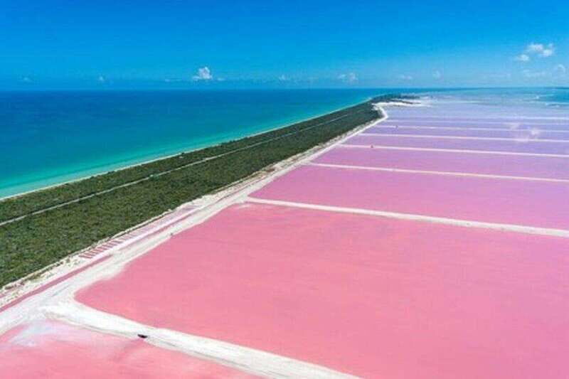 Playa del Carmen: Rio Lagartos and Las Coloradas Tour - Who Will Love This Tour?
