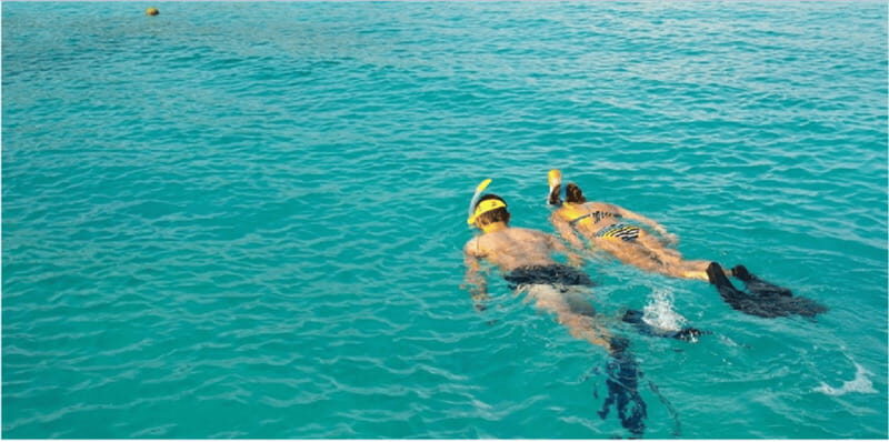 Playa del Carmen: Snorkel Tour at Local Reef - An In-Depth Look at the Tour