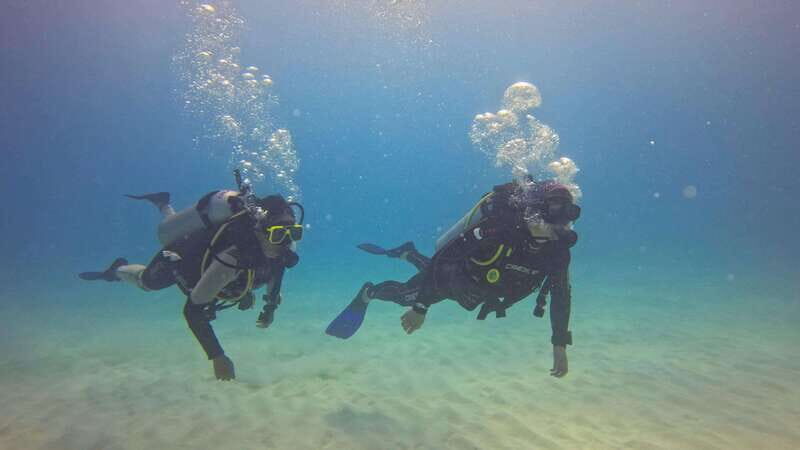 Playa del Carmen: SSI Open Water Course - Analyzing the Experience: What’s in Store for You