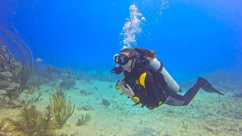 Playa del Carmen: SSI Open Water Course - Frequently Asked Questions
