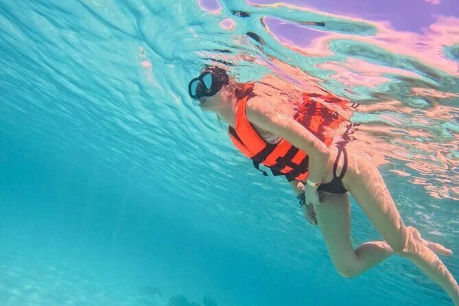 Playa del Carmen Tour Akumal Swimming With Turtles And Lagoon Yal Ku - A Detailed Look at the Tour Experience