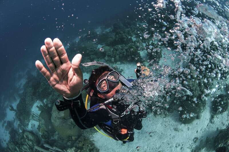 Playa del Carmen: Ultimate PADI Open Water Diver Experience - Introduction: Who Is This Tour For?