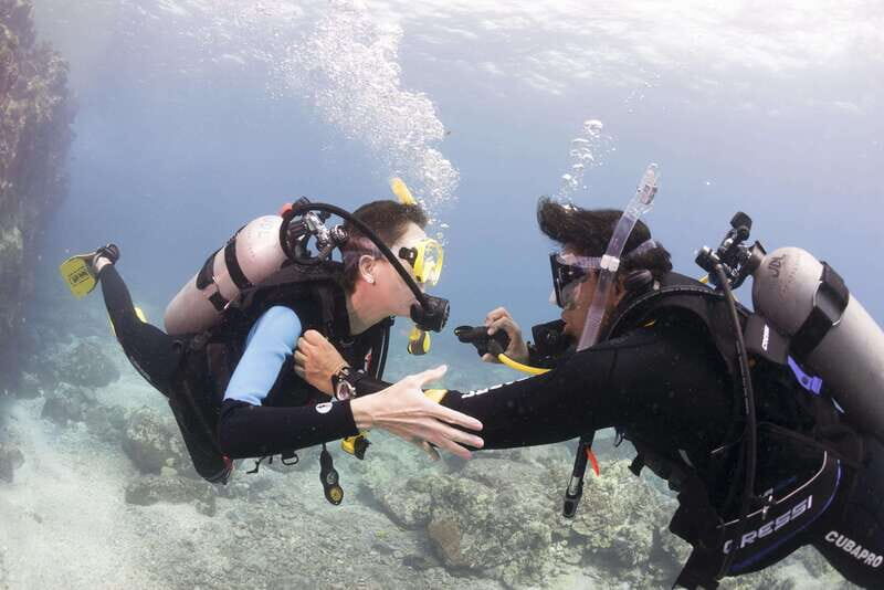 Playa del Carmen: Ultimate PADI Open Water Diver Experience - The Value of the Experience: What Sets It Apart?