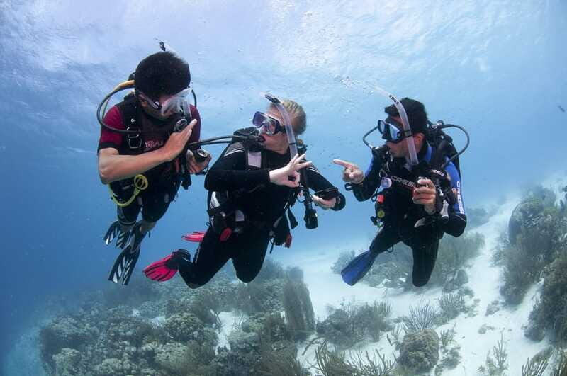 Playa del Carmen: Ultimate PADI Open Water Diver Experience - Frequently Asked Questions