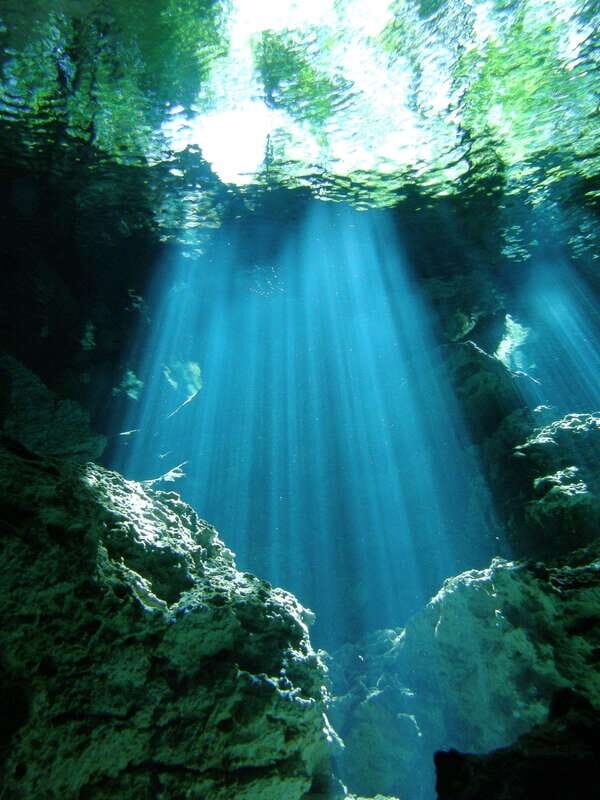 Playa del Carmen: Unforgettable Dive @ Cenote Chikin Ha - The Value in the Price