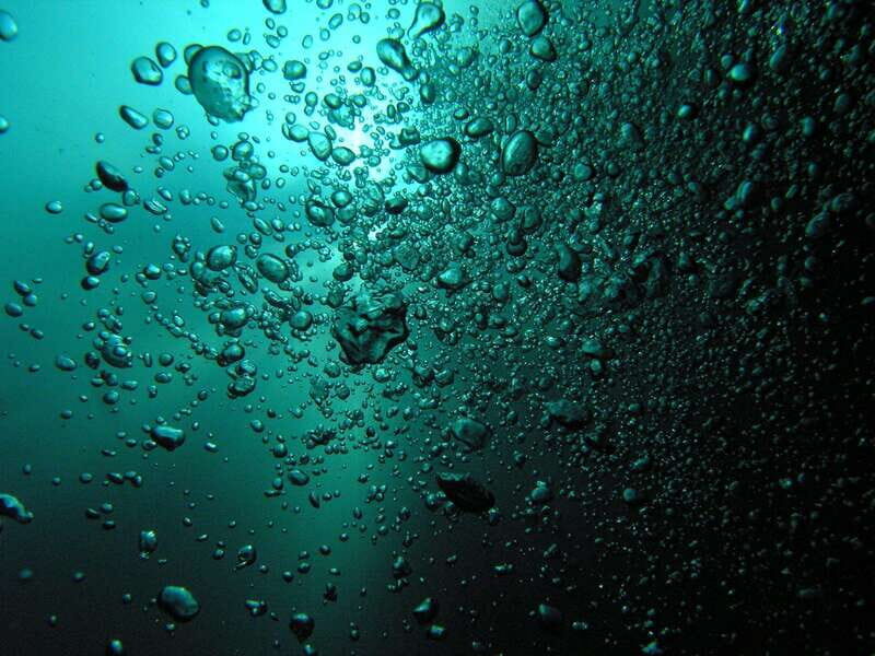 Playa del Carmen: Unforgettable Dive @ Cenote Chikin Ha - FAQs