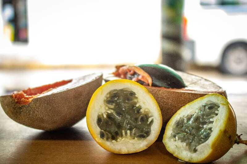 Playa del Carmen: Vegan Food Walking Tour - Key Points