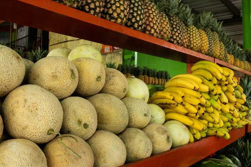 Playa del Carmen: Vegan Food Walking Tour - An Authentic Taste of Playa del Carmen’s Vegan Scene