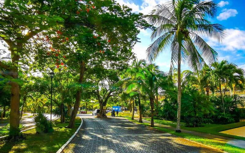 Playa Del Carmens Historical Treasures: A Walking Tour - Who Will Love This Tour?