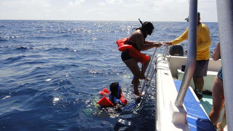 Playa del Carmen:Whale shark Experience in the Caribbean Sea - Is This Tour Right for You?