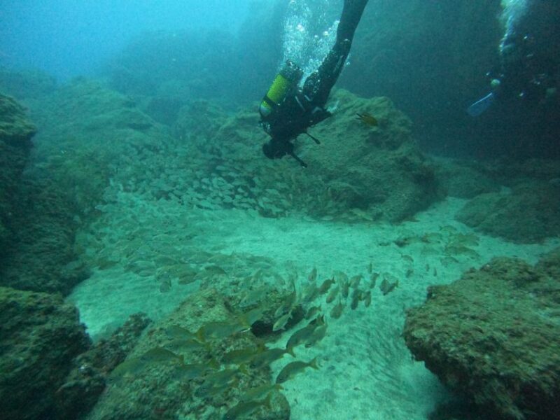 Playa Del Ingles: Discover Scuba Diving - Free Transfers - An Introduction to the Experience