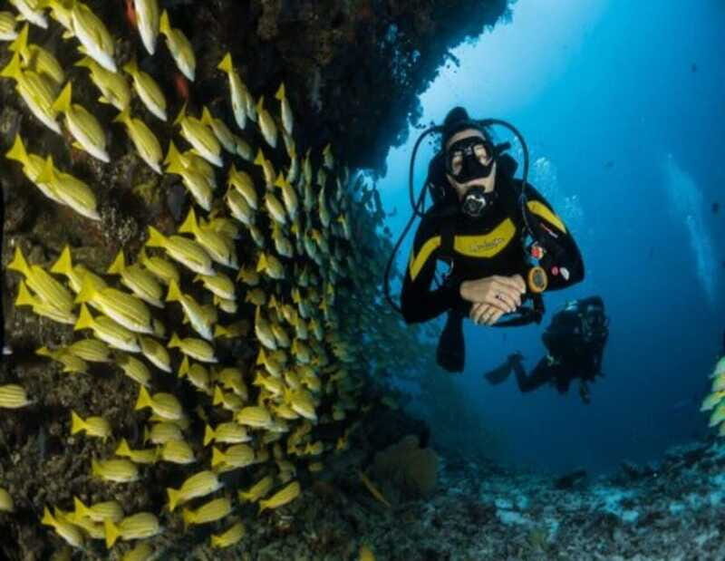 Playa: Dive in Cozumel - Analyzing the Price and Value