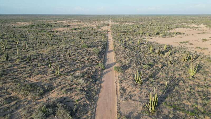 Playa el Cardonal: tour and sandboarding activity in the dunes of Sahuimaro - Exploring the Dunes and Desert