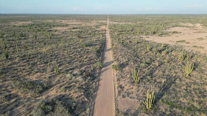 Playa el Cardonal: tour and sandboarding activity in the dunes of Sahuimaro - The Value of the Experience