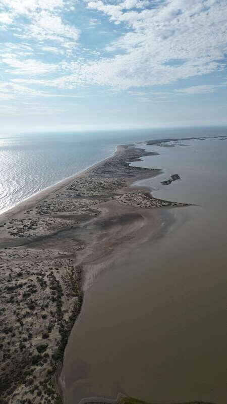 Playa el Cardonal: tour and sandboarding activity in the dunes of Sahuimaro - Who Will Love This Tour?