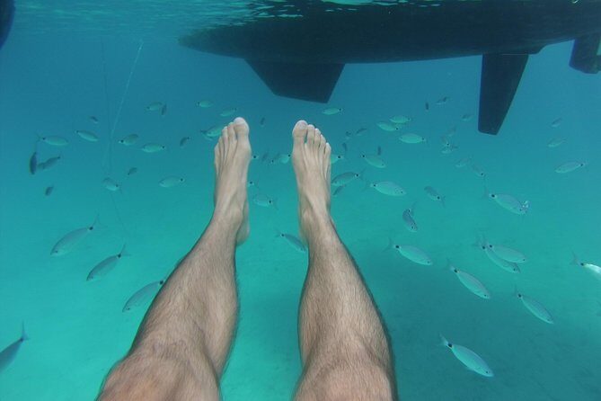 Playa Es Arenals Catamaran Private Full Day Trip - Key Points