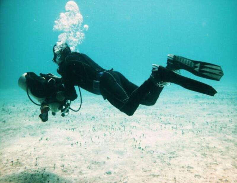 Playa: Rescue Diver - The Course Overview: What Makes It Worth Considering