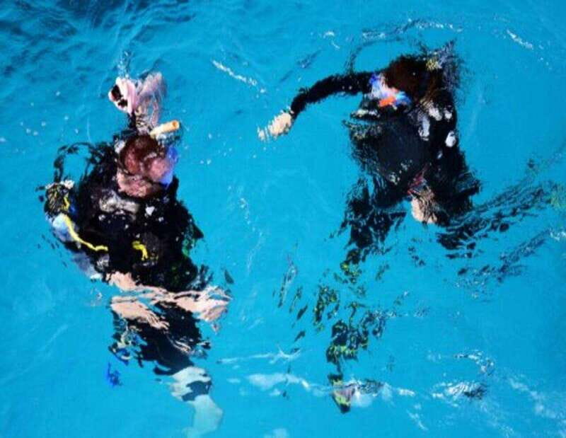 Playa: Scuba Discovery - Why Choose This Tour?