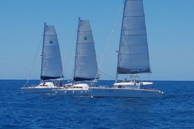 Playa Ses Platgetes Catamaran Private Trip - What’s Included and What’s Not