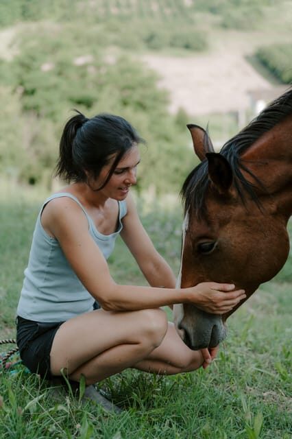 Playful Activities with Animals - The Atmosphere and Environment