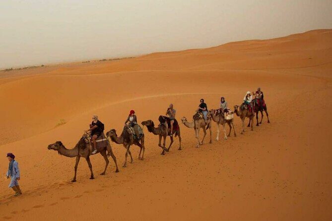 Pleasant Non-Touristic Overnight Camel Safari (From 2:00 PM to Approx. 10:30AM) - A Deeper Look at the Experience