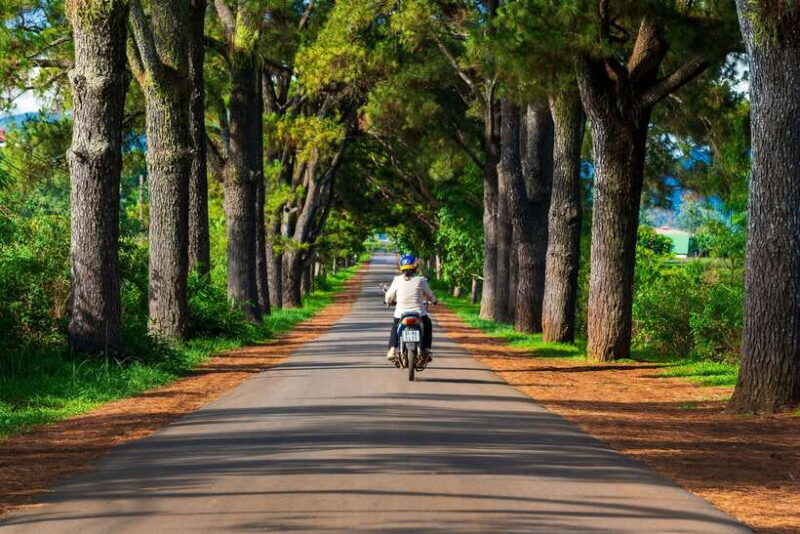 Pleiku: Culture, Landscape and Culinary Tour with Pickup - Key Points