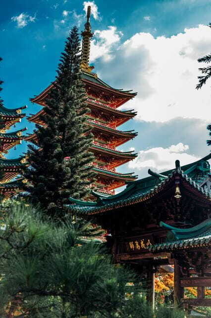 Pleiku: Culture, Landscape and Culinary Tour with Pickup - Final Thoughts