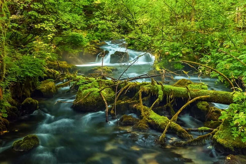 Plitvice Lakes: Guided Walking Tour with Train and Boat Ride - Key Points