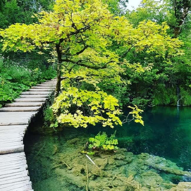 Plitvice Lakes National Park: Walking, Boat, and Train Tour - Authentic Experiences and Traveler Feedback