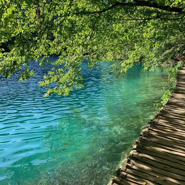 Plitvice Lakes National Park: Walking, Boat, and Train Tour - Why This Tour is a Great Choice
