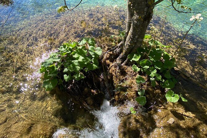 Plitvice private tour driver + guide up to 8 ppl from Zadar - Who Is This Tour Best For?