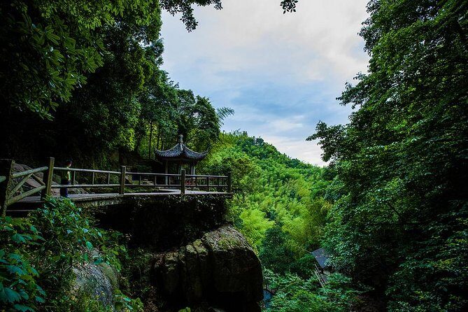 Plog and Hike Mount Mogan Nature Reserve  Guided Outdoor Tour from Hangzhou - Key Points