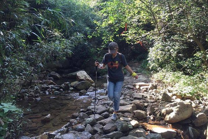 Plog and Hike Mount Mogan Nature Reserve  Guided Outdoor Tour from Hangzhou - Authentic Experiences and Traveler Insights