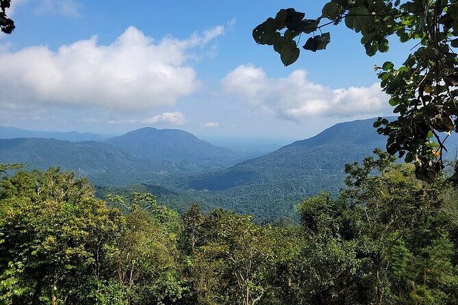 Pluma Hidalgo Coffee Experience - Key Points