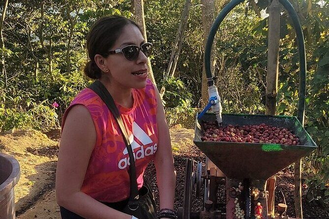 Pluma Hidalgo Coffee Experience - The Sum Up