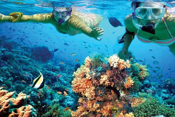Plus Experience Isla Mujeres Tour - Who Is This Tour For?