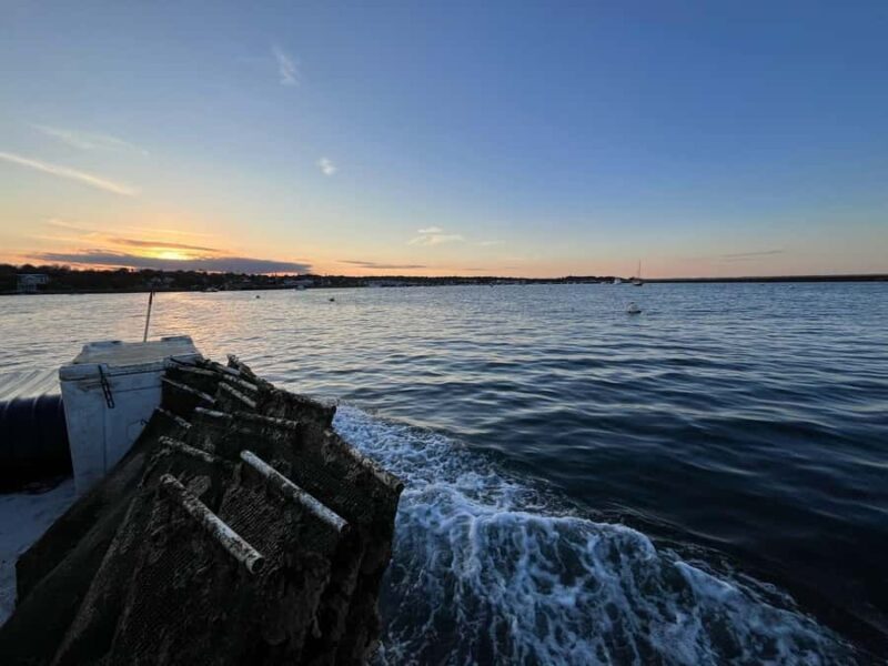 Plymouth: Oyster Farm Boat Tour with Tasting - Introduction