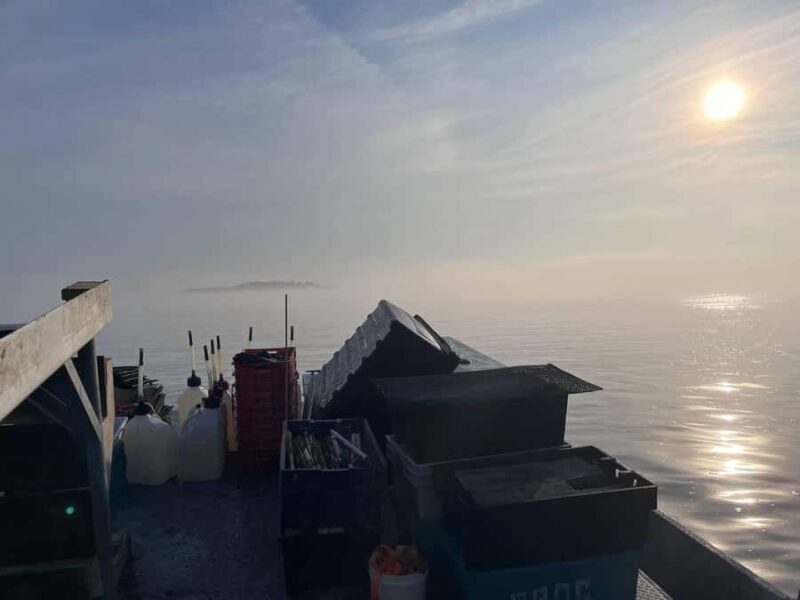 Plymouth: Oyster Farm Boat Tour with Tasting - The Itinerary Breakdown