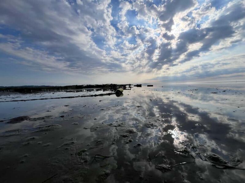 Plymouth: Oyster Farm Boat Tour with Tasting - FAQs