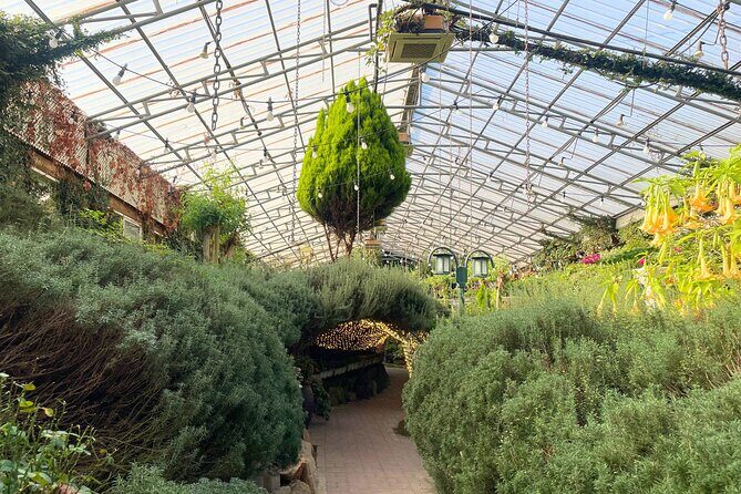 Pocheon Highlights 1 Day Tour - Key Points