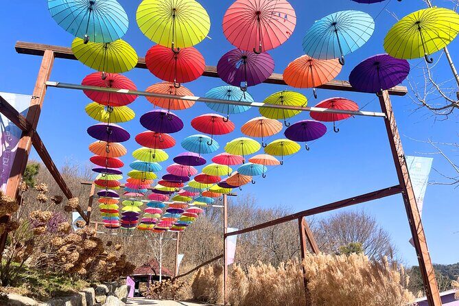 Pocheon Highlights 1 Day Tour - Who Should Join This Tour?