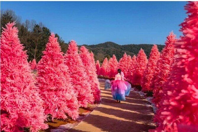 Pocheon: Sanjeong Lake+ Art Valley+Morning Calm garden Tour - Key Points