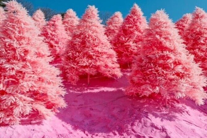 Pocheon: Sanjeong Lake+ Art Valley+Morning Calm garden Tour - FAQs