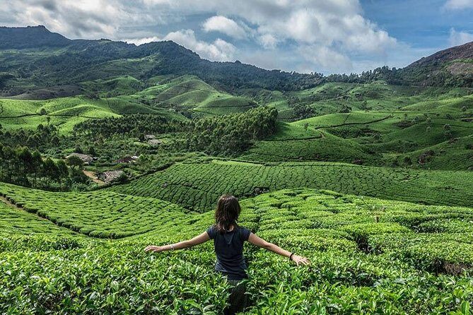 Pocket Friendly Package - Key Points