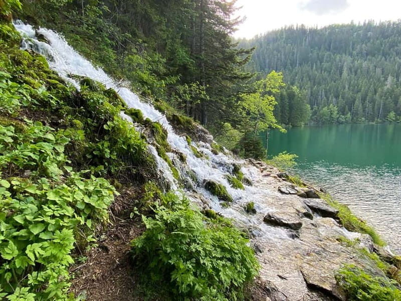 Podgorica: Durmitor National Park- Tara river, bridge & lake - Authentic Traveler Insights