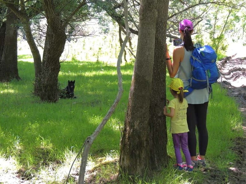 Podgorica Historic, Safari and Winery tour - Skadar lake - What Travelers Can Expect